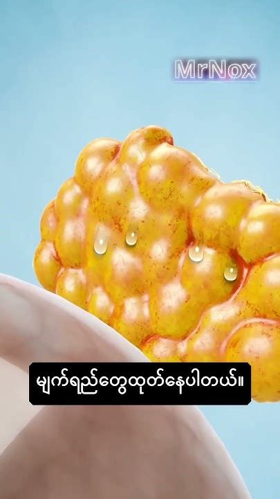 မျက်ရည် ဘယ်လို ထွက်လာတာလဲ🤔 Youtube