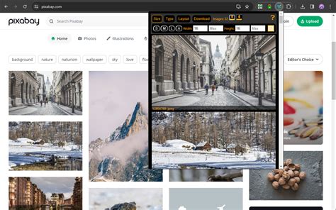 图片下载器 下载 🦊 Firefox 扩展（zh Cn）