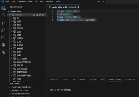 oracle 必备工具：oracle sql developer extension for vscode 少安事务所