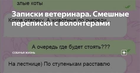 Записки ветеринара Смешные переписки с волонтерами СобачьЯ жизнь Дзен