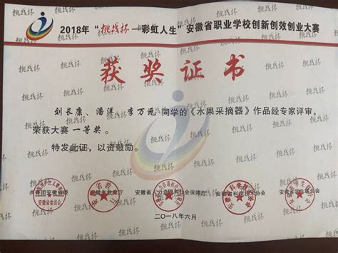 我院在2018年“挑战杯——彩虹人生”安徽省职业学校创新创效创业大赛中获佳绩 滁州职业技术学院