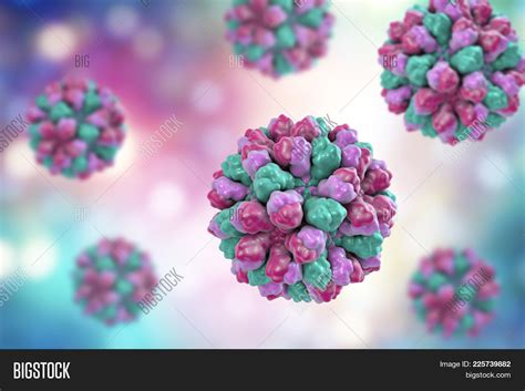 Norovirus Norwalk Image And Photo Free Trial Bigstock