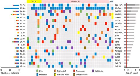 Candidates Of Driver Genes In Pcnsl Mutation Status Of Each Patient Is Download Scientific