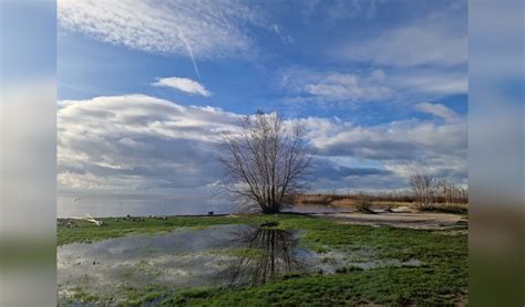 Koffiekuier Met Gids ‘zuiderfennenpolder Vanuit Rijs Groot De Fryske