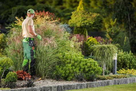 What Are Gardeners Called At Nettie Swiney Blog