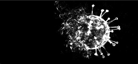 Host Pathogen Interactions For Healthcare And Drug Discovery Ibm Research