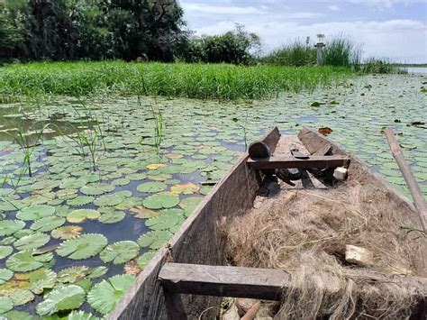 Valorisation De Leau Et Développement Résilient Les Acteurs De L