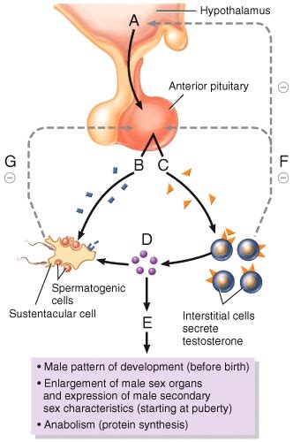 In Which Of Two Labeled Locations On The Diagram Would Biology