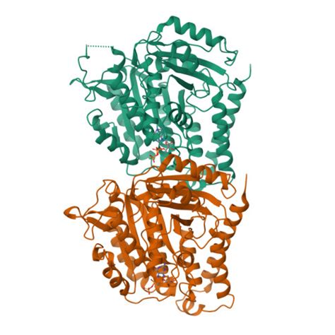 Rcsb Pdb 7ysn Tubulin Heterodimer Structure Of Gmpcpp State In Solution