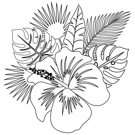 Pictures Of Hawaiian Flowers To Draw Best Flower Site