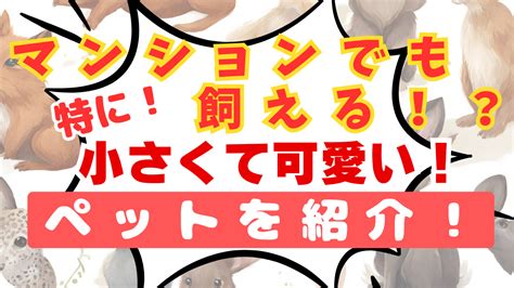 【マンションでも飼える！？】小さくて可愛い！ペットを紹介！ はてなみらくる