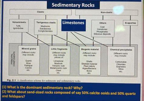 Answered Sedimentary Rocks Clastic Non Clastic Bartleby