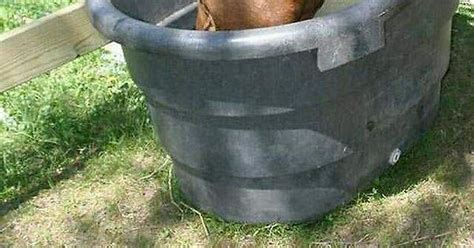 You Dirty Bastard Imgur