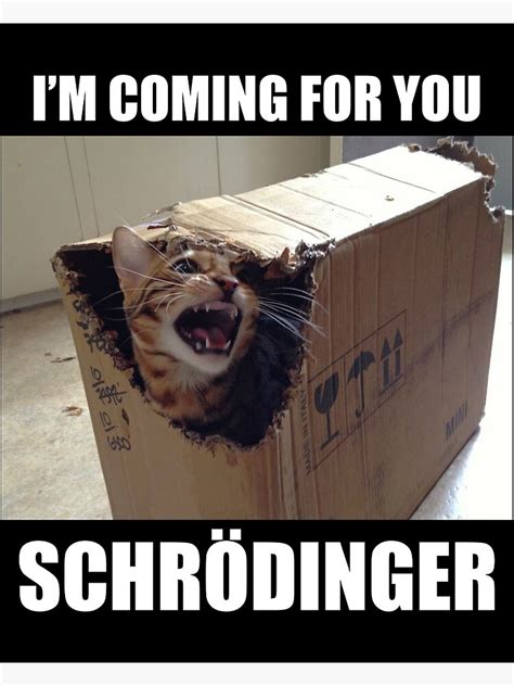Schrodingers Cat Meme Poster By Lmswebdev Redbubble