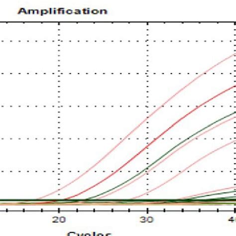 Amplification Curve Obtained During Rt Pcr Positive Control Accession