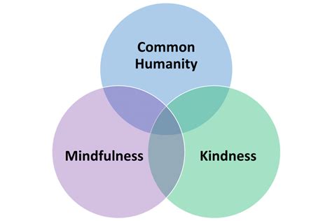 Compassionate Pedagogy The Centre For The Advancement Of Teaching And