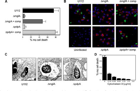 Gram Negative Coccobacillus Semantic Scholar