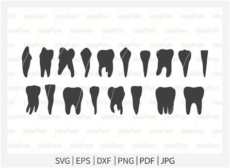Tooth Svg Dental Svg Tooth Monogram Svg Bundle Tooth Heartbeat