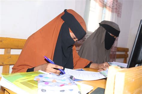 Welcome To Taleex Taleex Professional College