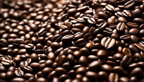 The Ultimate Guide To Coffee Bean Varieties Sudden Coffee