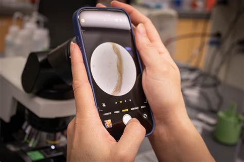 Utilizing Digital Parasitology For Springtime Parasite Identification Texas Aandm Veterinary