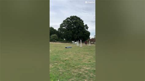 Small Canter Bounces Youtube