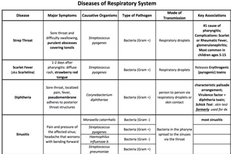 Microbiology Exam 3 Flashcards Quizlet