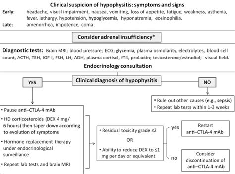 Flowchart For The Diagnosis And Treatment Of Hypophysitis Induced By Download Scientific