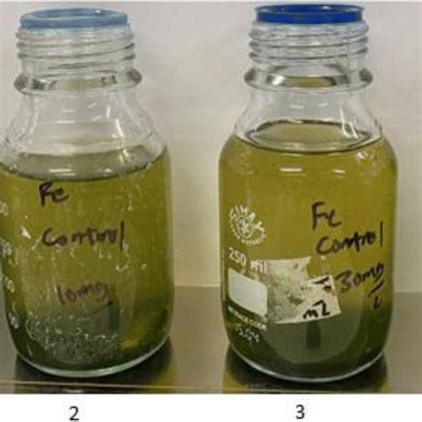 Microalgae Suspension After 20 Min Of Flocculation Experiment With
