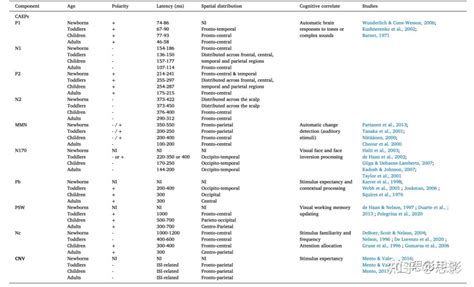 发展认知科学EEG研究 新视角与挑战 知乎