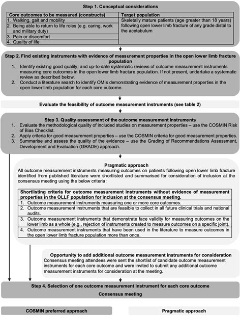 Schematic Flow Diagram Summarizing The Approach Used For The Selection Download Scientific