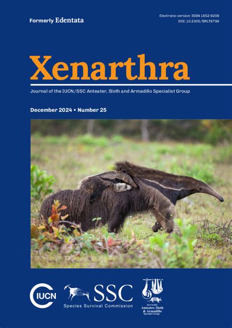 Xenarthra