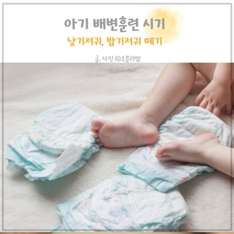 아기 배변훈련시기 기저귀 떼는 시기 방법 밤기저귀 떼기 경험 공유 네이버 블로그