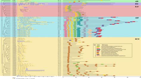 gene structure prediction and protein motif analysis on the left panel