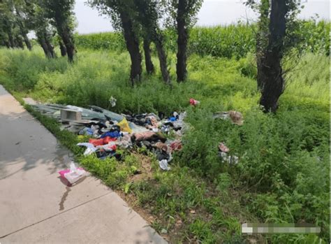 公主岭市黑林子镇严肃处理环境整治中的违法违规行为 倾倒垃圾