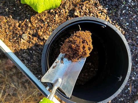 The Best Electric Composters For Recycling Food Waste Tested