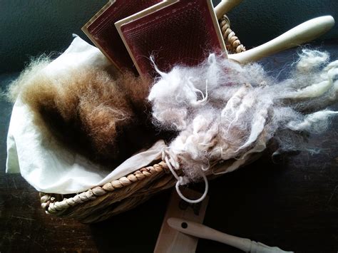 Woolfiber Castricum Ranch
