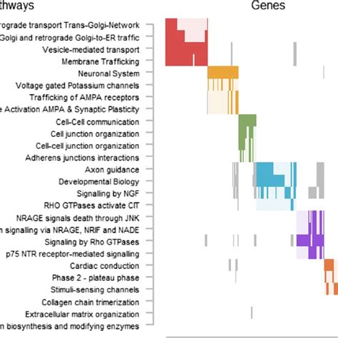 Of Pathway Analysis We Only Show Pathways That Overlapped With At Download Scientific Diagram