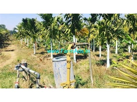 4 Acres Developed Farm Land For Sale In Doddaballapur Doddaballapur