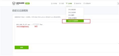Nas Dns