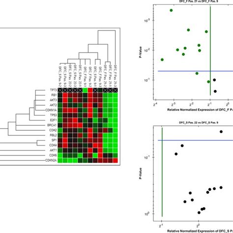 Gene Expression Of Dna Damage Marker Genes With Primepcr Arrays Total