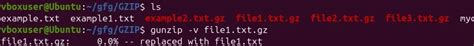 Gunzip Command In Linux With Examples Geeksforgeeks