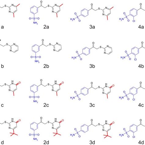 A Cartoon Representation Of X Ray Structures Of Bovine Rhodopsin