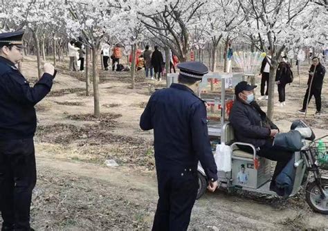 太白湖新区综合执法分局：为群众赏花路保驾护航文明游客风景线