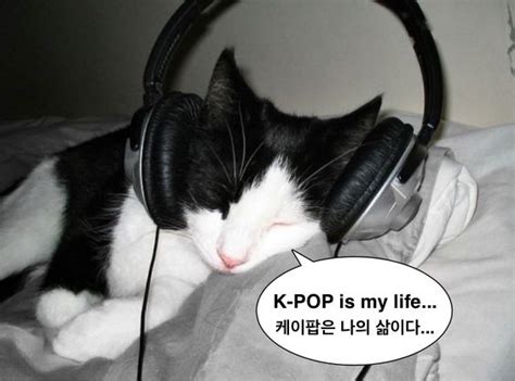 Github Megaptera Kr Web Project Bohyunkang