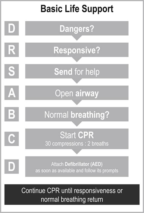 Basic Life Support Clinical Tree