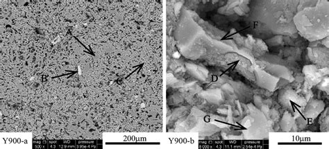 Sem Micrographs Of Y900 Where A Protoenstatite Mgsio3 B Download Scientific
