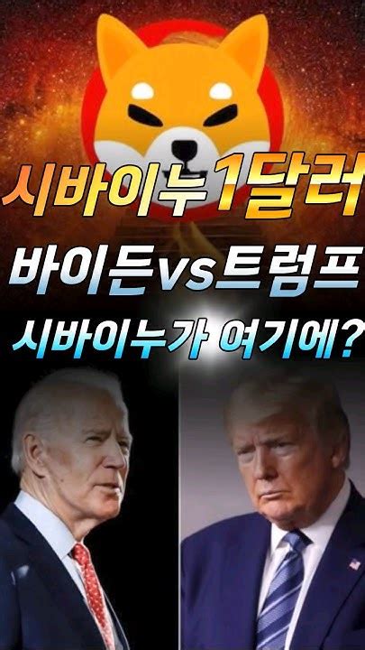 시바이누 코인 전망 시바이누코인 미국대선과 역대급 호재 Youtube