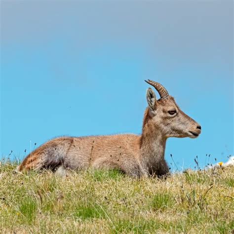 Phps Strict Types That Arent So Strict The Curious Case Of Int To