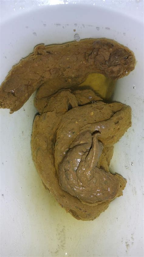 My Daily Poo 25 Nov Friday After Thanksgiving Day Poo
